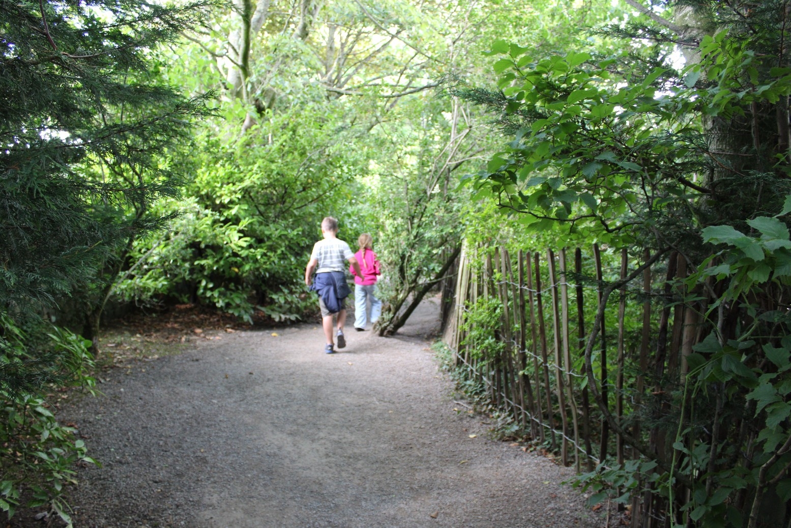 The Forbidden Corner Reviews - Imagination, Maze and Magic - Yorkshire ...