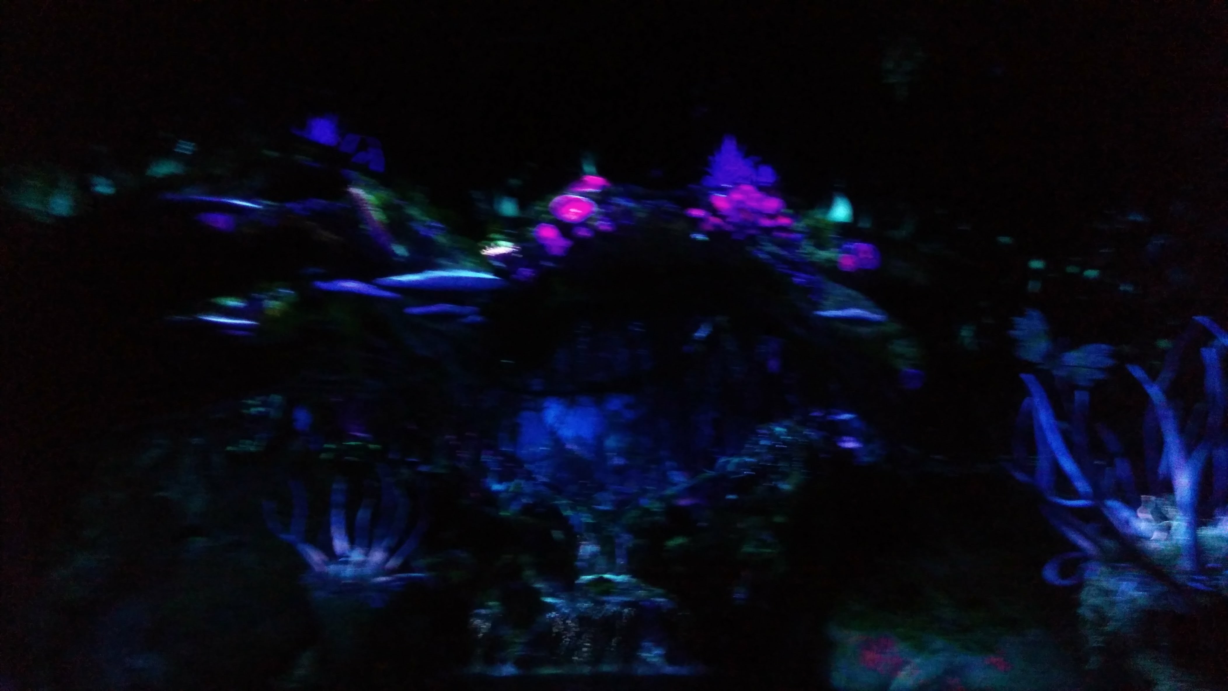 Na'vi River Ride at Pandora, Animal Kingdom -Review ⋆ Yorkshire Wonders