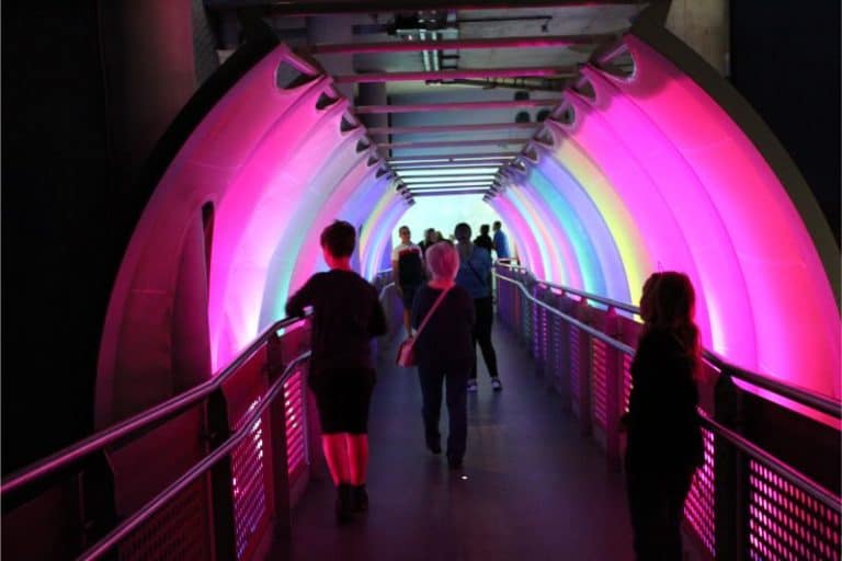 A Family Day Out at The Deep Aquarium, Hull ⋆ Yorkshire Wonders