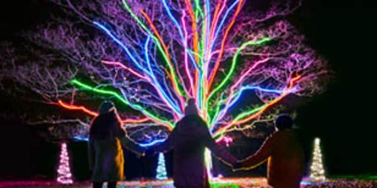 50+ Christmas Events and Attractions in the UK 2023 ⋆ Yorkshire Wonders