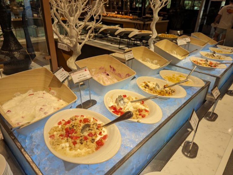 Review of a Family Friendly Stay at Rixos the Palm in Dubai ⋆ Yorkshire ...
