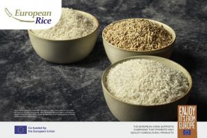 Succulent Garlic Shrimps with European Rice Recipe ⋆ Yorkshire Wonders