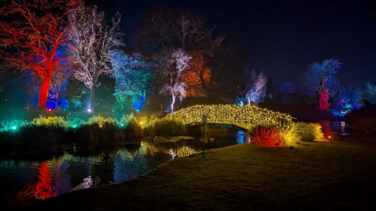ILLUMINATE at Burnby Hall Gardens, Pocklington - Review ⋆ Yorkshire Wonders
