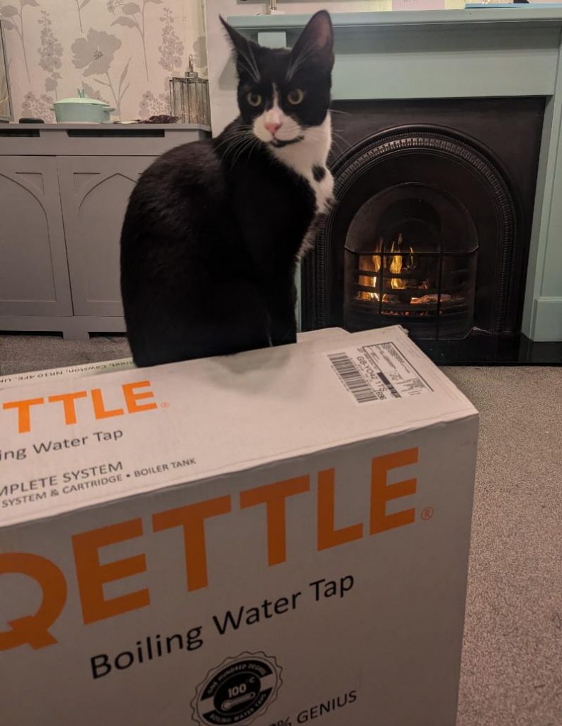 Installation and Review of the 4-in-1 Qettle 100°C Boiling Water Tap ⋆ ...