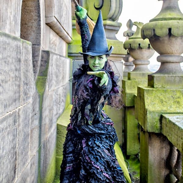 Shrek the Musical comes to Leeds! ⋆ Yorkshire Wonders