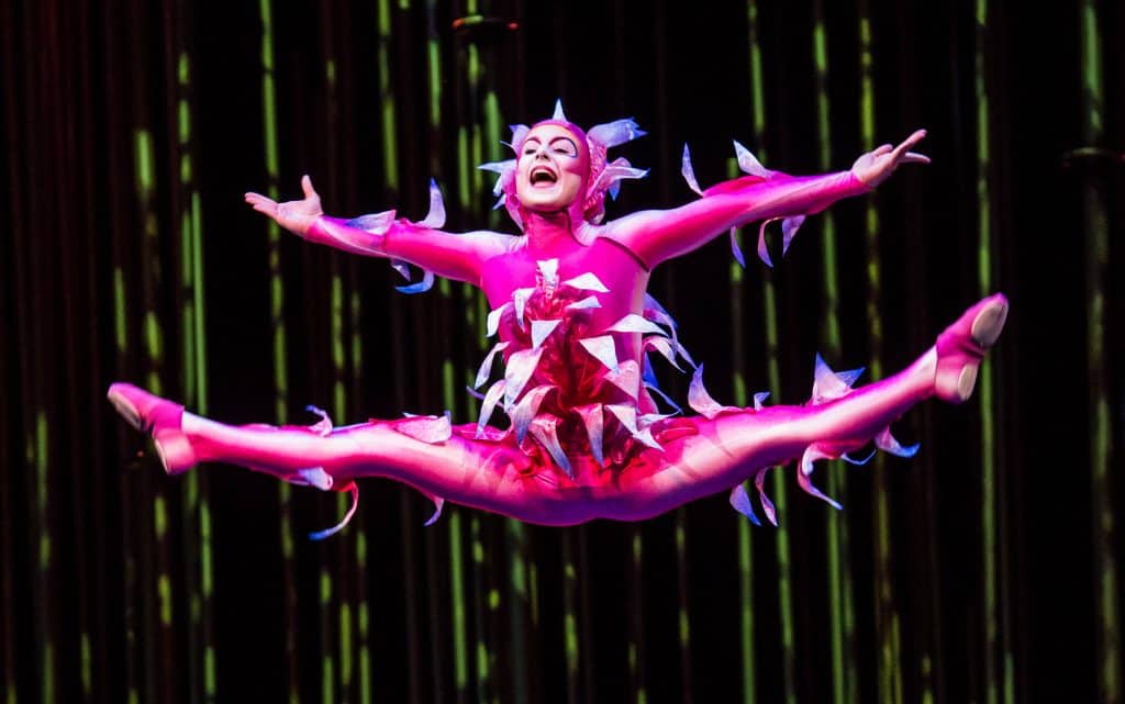 Varekai - Cirque du Soleil at Leeds First Direct Arena - Review ⋆ ...